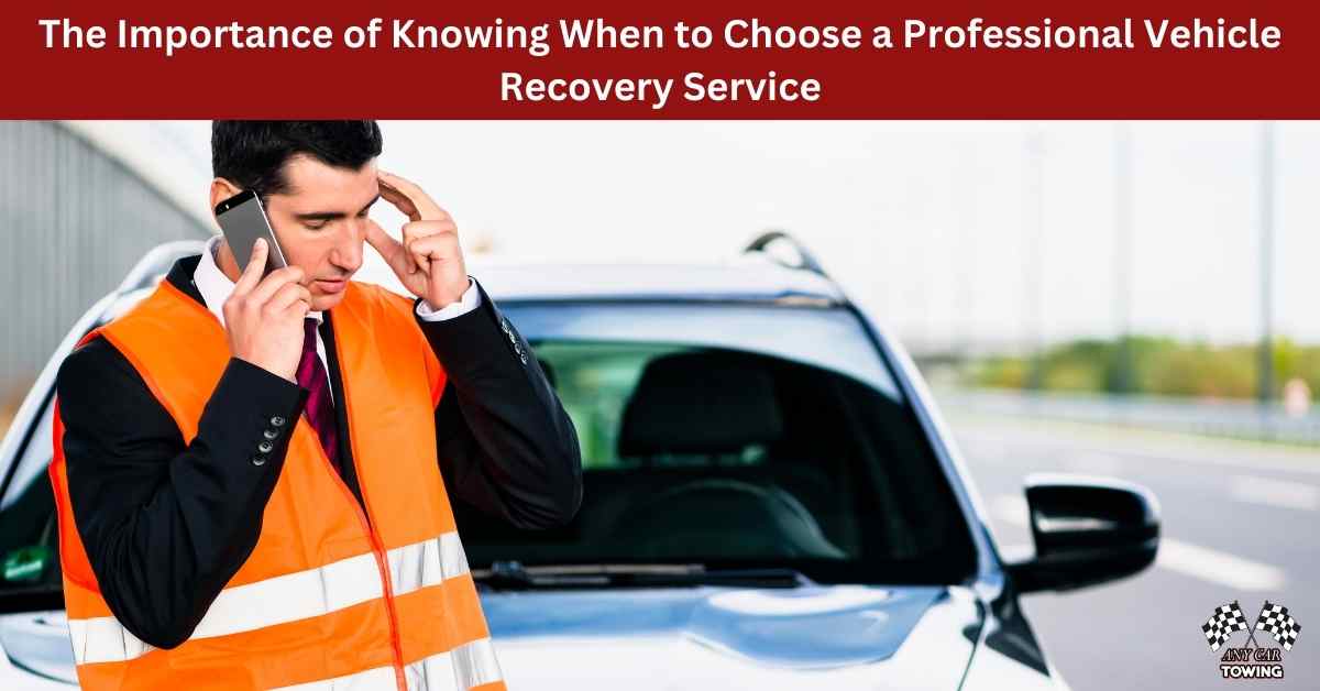 The Importance of Knowing When to Choose a Professional Vehicle ...